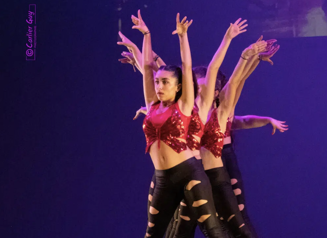 Grâce à leurs performances sportives, dix club de sports viennois vont ...