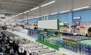 Le hard-discounter hollandais Action a ouvert ses portes sur la zone ...